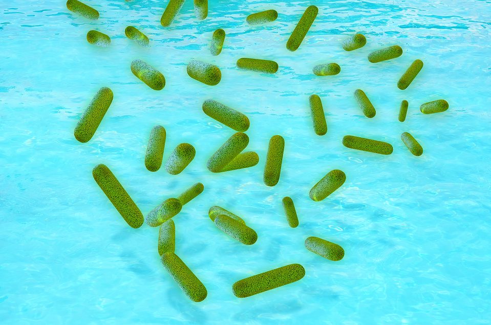 Legionella: Cost-Effective Control of this Serious Pathogen | phcppros