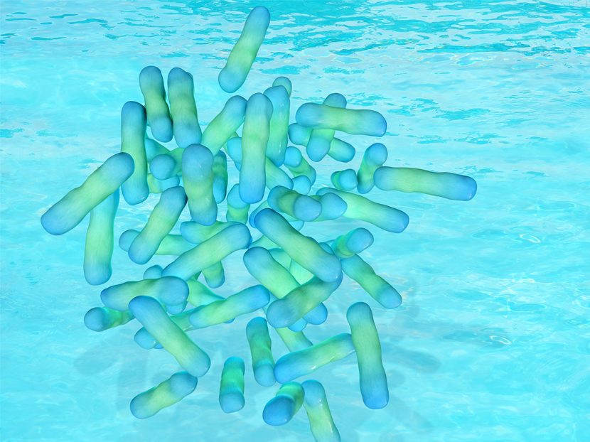 Eliminating Contaminants from Water Systems | phcppros