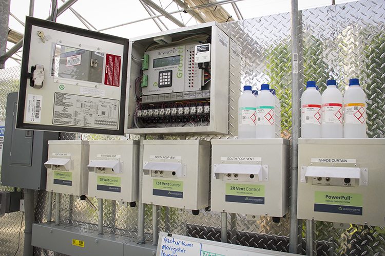 Growing Pains | phcppros