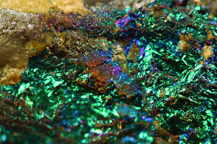 Metals and Minerals in the Spotlight | phcppros