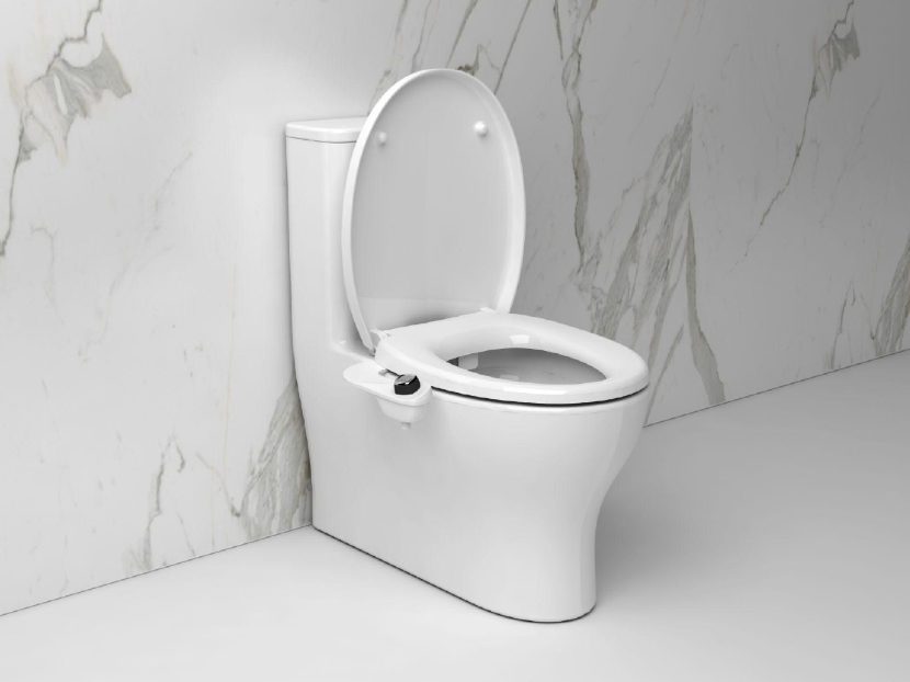 Bio Bidet by Bemis Research: More Americans Planning DIY Projects ...
