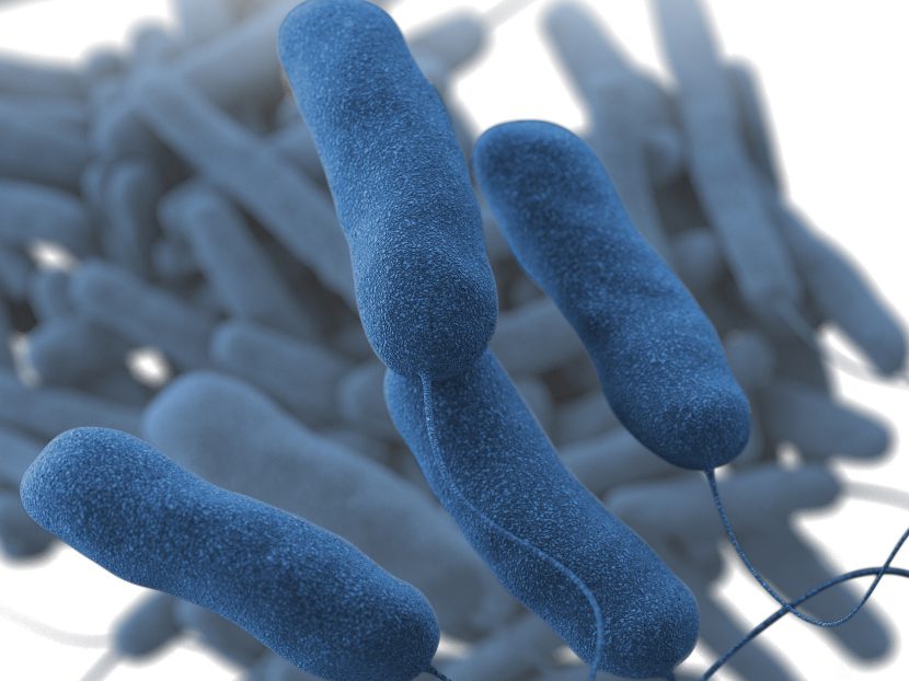 ASSE International Publishes New Listing Evaluation Criteria (LEC) for Legionella Reduction and ...