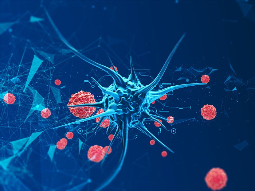 CircuitSolver Solves Bacteriological Problems | 2019-05-06 | phcppros