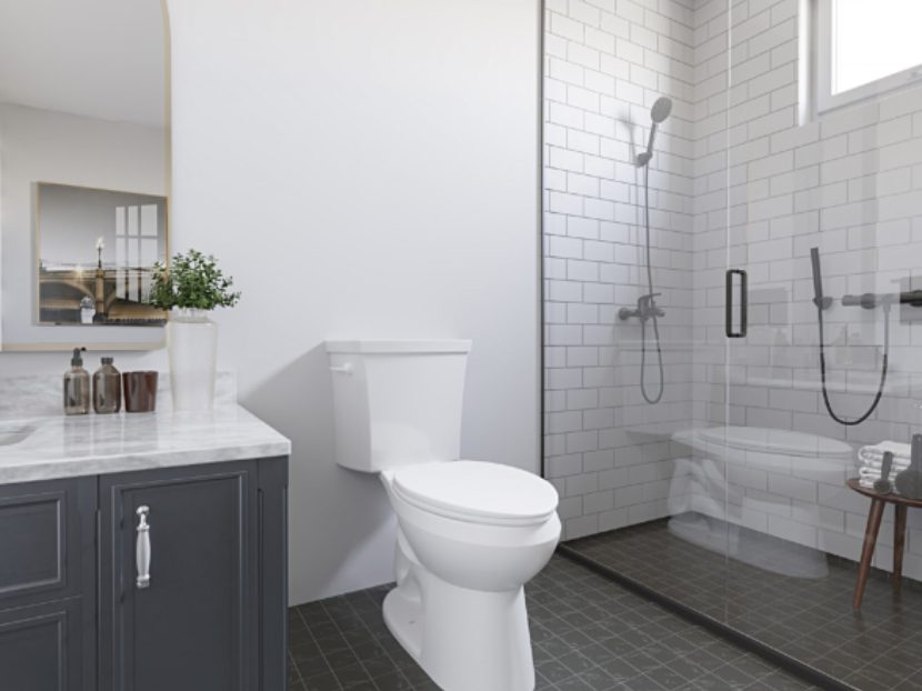 Niagra Stealth Technology Toilets | 2021-08-23 | phcppros