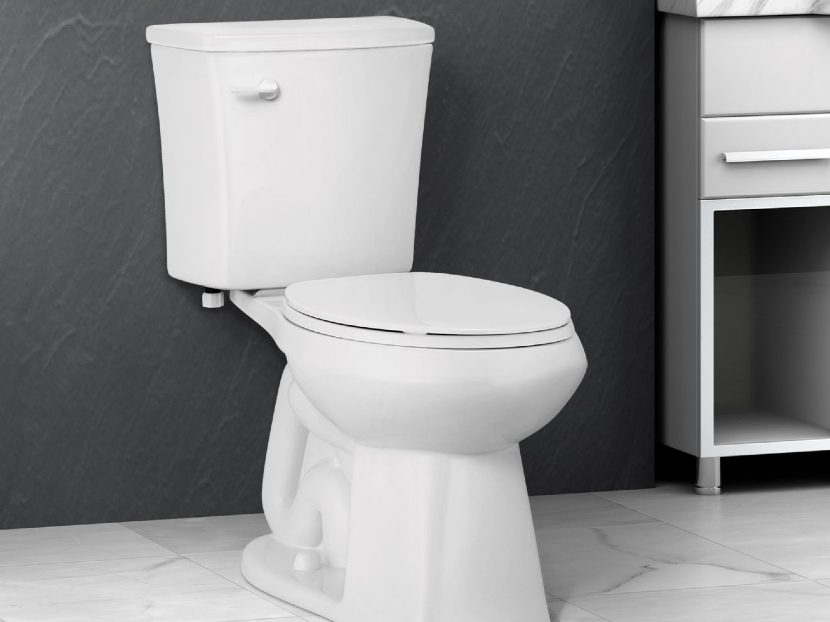 Niagra Stealth Technology Toilets | 2021-08-23 | phcppros