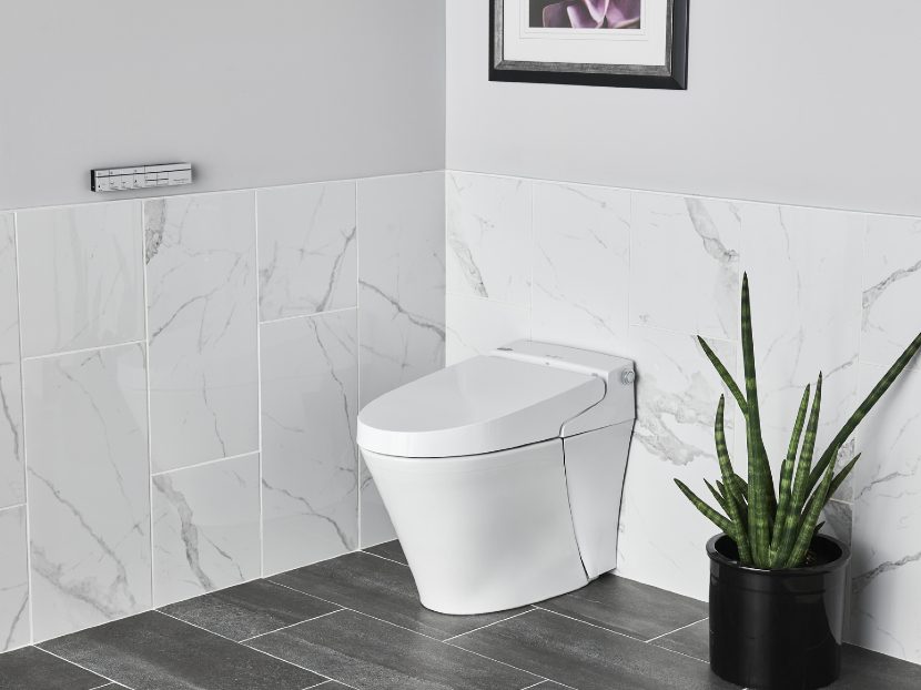 American Standard Advanced Clean 100 SpaLet Bidet Toilet | 2020-12-14 ...