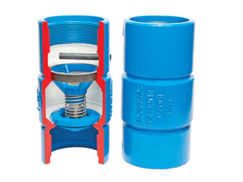 Flomatic Expands its AIS-Compliant Model 80DIVFD Check Valves with New ...